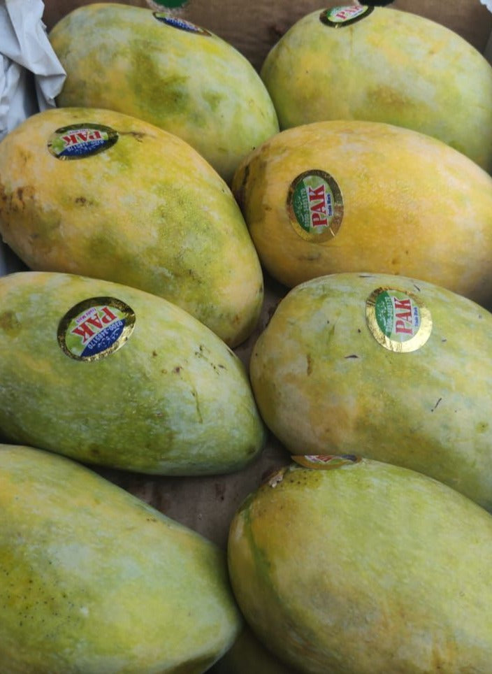 Buy Chaunsa Mango (Pakistani) in UAE – TazaBazar.ae